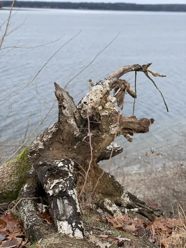 Best Hikes and Trails in Newaygo State Park | AllTrails