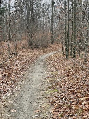 Best Hikes and Trails in Newaygo State Park | AllTrails