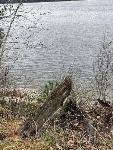 Best Hikes and Trails in Newaygo State Park | AllTrails