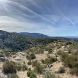 McCall Memorial Park Loop, California - 28 Reviews, Map | AllTrails