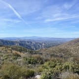 McCall Memorial Park Loop, California - 28 Reviews, Map | AllTrails