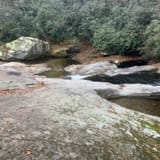 Lost Cove Loop Trail (262), North Carolina - 145 Reviews, Map | AllTrails