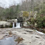 Lost Cove Loop Trail (262), North Carolina - 145 Reviews, Map | AllTrails