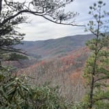 Lost Cove Loop Trail (262), North Carolina - 145 Reviews, Map | AllTrails
