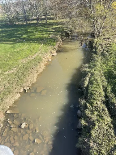 Best Hikes and Trails in Dixie Farm Road Park | AllTrails