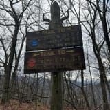 Mount Tremper Trail, New York - 1,454 Reviews, Map | AllTrails