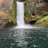 Toketee Falls, Oregon - 2,032 Reviews, Map | AllTrails