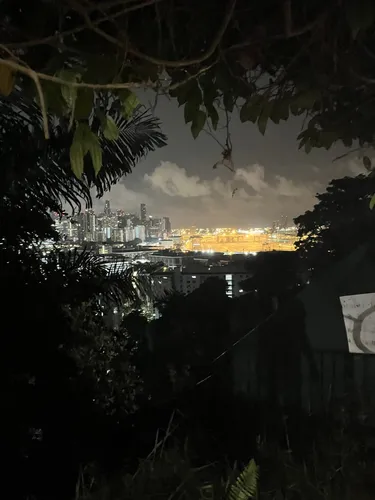 Best Hikes and Trails in Mount Faber Park | AllTrails