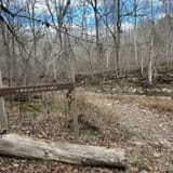 Window Cliffs Trail, Tennessee - 1,376 Reviews, Map | AllTrails