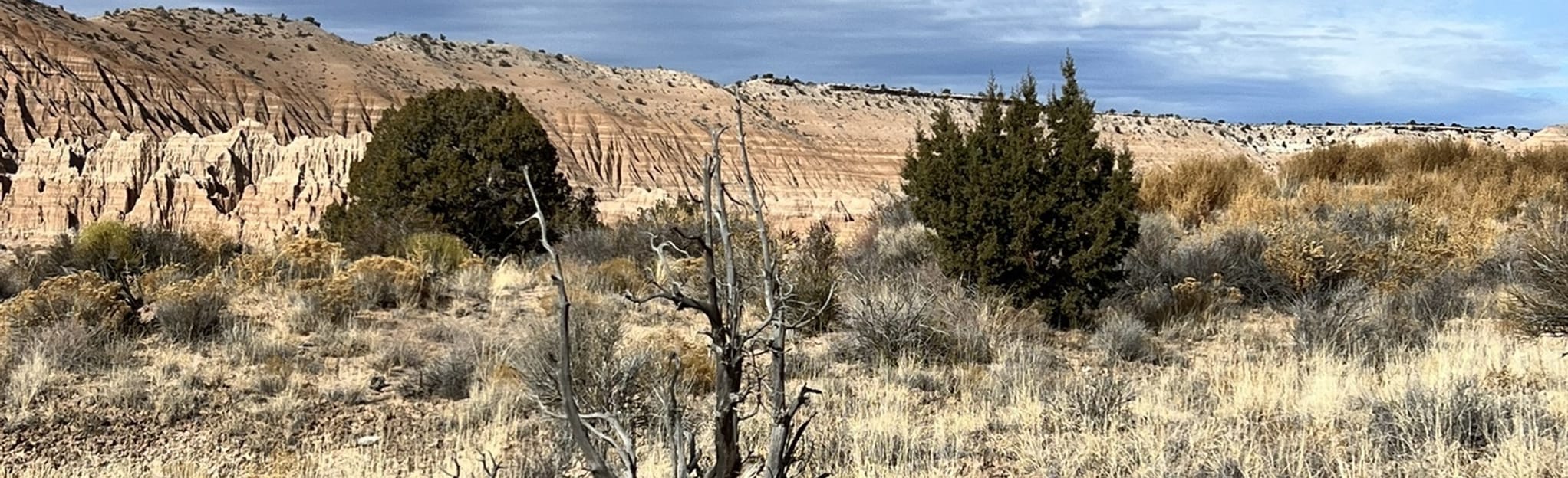 Miller Point and Juniper Draw Loop, Nevada - 94 Reviews, Map | AllTrails