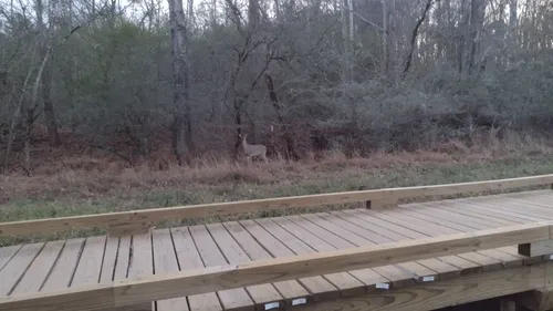 Best Hikes and Trails in Chattahoochee Pointe Park | AllTrails