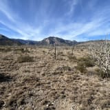 The Slots (Lower Kyle Canyon), Nevada - 187 Reviews, Map | AllTrails