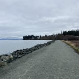 Padilla Bay Trail, Washington - 669 Reviews, Map | AllTrails