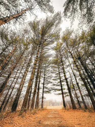 Best Hikes and Trails in Spring Lake Park Preserve | AllTrails