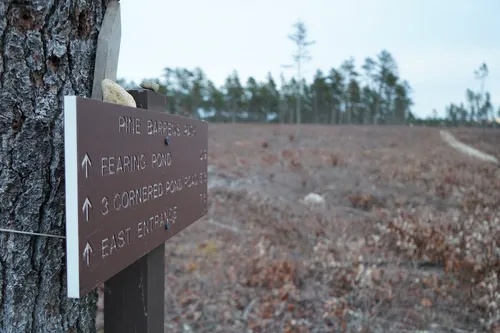 Best Walking Trails in Myles Standish State Forest | AllTrails