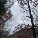 Spruce Flats Falls Trail, Tennessee - 2,664 Reviews, Map | AllTrails