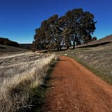 East Ridge and Long Valley Trail Loop, California - 938 Reviews, Map ...