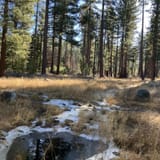 Fallen Leaf Lake Trail, California - 1,110 Reviews, Map | AllTrails