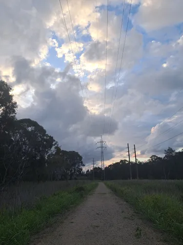 Best Hikes and Trails in Sandy Camp Road Wetlands Reserve | AllTrails