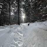 Tibble Fork Loop Trail, Utah - 736 Reviews, Map | AllTrails