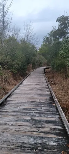 Best Hikes and Trails in Powells Point | AllTrails