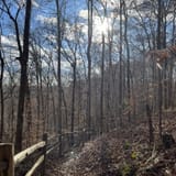 Window Cliffs Trail, Tennessee - 1,387 Reviews, Map | AllTrails