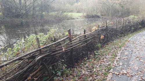 Best Hikes and Trails in Halewood Triangle Country Park | AllTrails