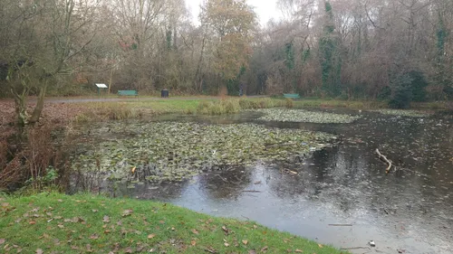 Best Hikes and Trails in Halewood Triangle Country Park | AllTrails