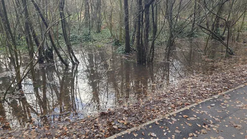 Best Hikes and Trails in Halewood Triangle Country Park | AllTrails