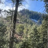 See Spring Trail, Arizona - 706 Reviews, Map | AllTrails