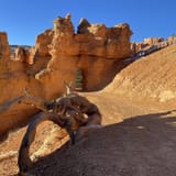 Sunrise Point, Utah - 668 Reviews, Map | AllTrails