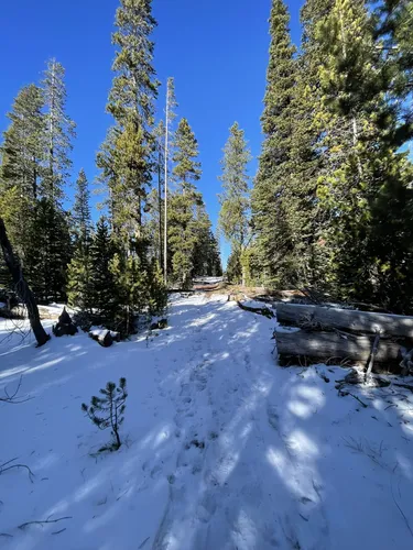 10 Best Trails and Hikes in Sunriver | AllTrails