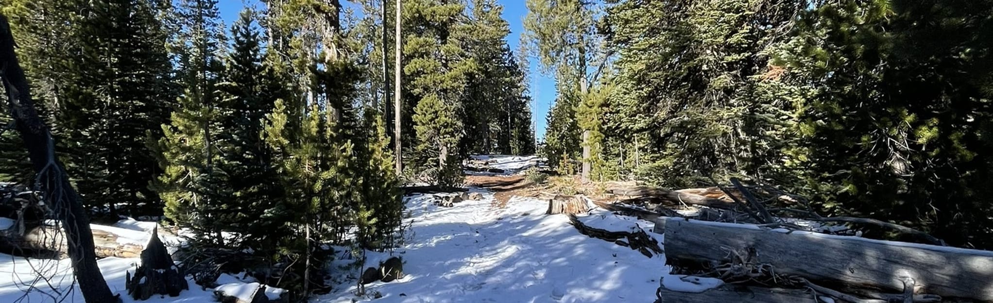 Swampy Lakes Trail, Oregon - 144 Reviews, Map | AllTrails