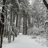 Pinhey Forest 31 Trail, Ontario, Canada - 616 Reviews, Map | AllTrails