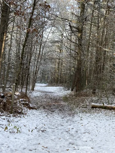 Best Hikes and Trails in Brunswick Town Commons | AllTrails
