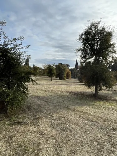 Best Hikes and Trails in Modesto | AllTrails