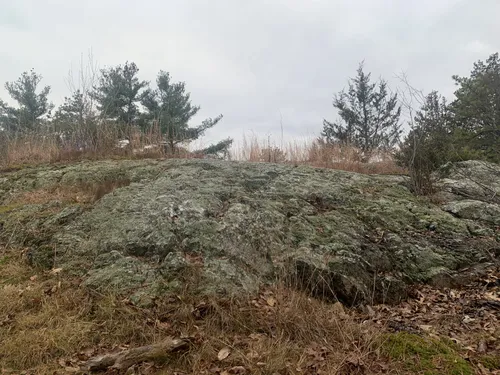 Best Hikes and Trails in Round Park | AllTrails