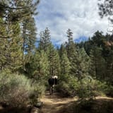 Bassi Falls, California - 2,884 Reviews, Map | AllTrails