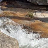 Bassi Falls, California - 2,884 Reviews, Map | AllTrails