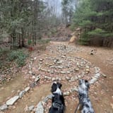 Arbutus Park and Raven Rookery Trail Loop , Massachusetts - 623 Reviews ...