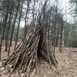 Arbutus Park and Raven Rookery Trail Loop , Massachusetts - 623 Reviews ...