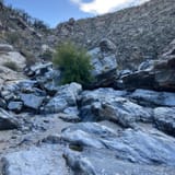 Tanque Verde Falls Trail, Arizona - 2,416 Reviews, Map | AllTrails