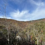 Babel Tower Trail, North Carolina - 925 Reviews, Map | AllTrails