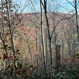 Babel Tower Trail, North Carolina - 925 Reviews, Map | AllTrails