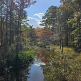 Cedar Lake Trail, Oklahoma - 137 Reviews, Map | AllTrails