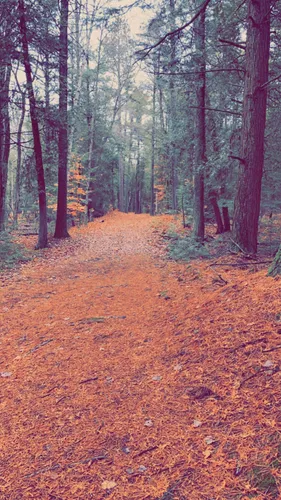 Best Hikes and Trails in Two Rivers | AllTrails