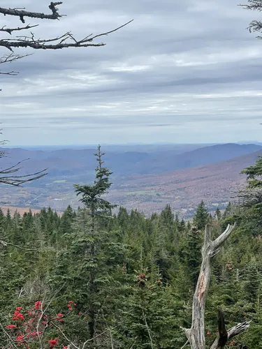 10 Best Hard Trails in Mount Mansfield State Forest | AllTrails