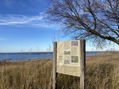 Best Hikes and Trails in Rainbow Beach Park | AllTrails