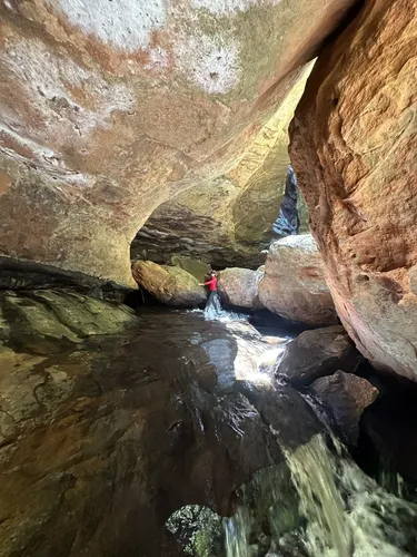 Best Hikes and Trails in Newnes State Forest | AllTrails