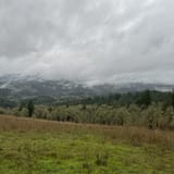 Fitton Green Natural Area Trail, Oregon - 381 Reviews, Map | AllTrails